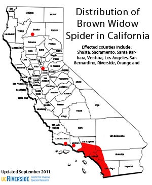 Black Widow Spider Locations Map