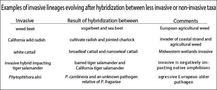 Can Invasiveness Evolve? | Center for Invasive Species Research