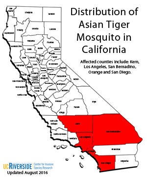 Asian Tiger Mosquito | Center for Invasive Species Research