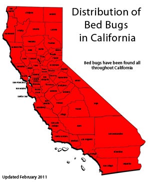 Bed Bugs | Center for Invasive Species Research
